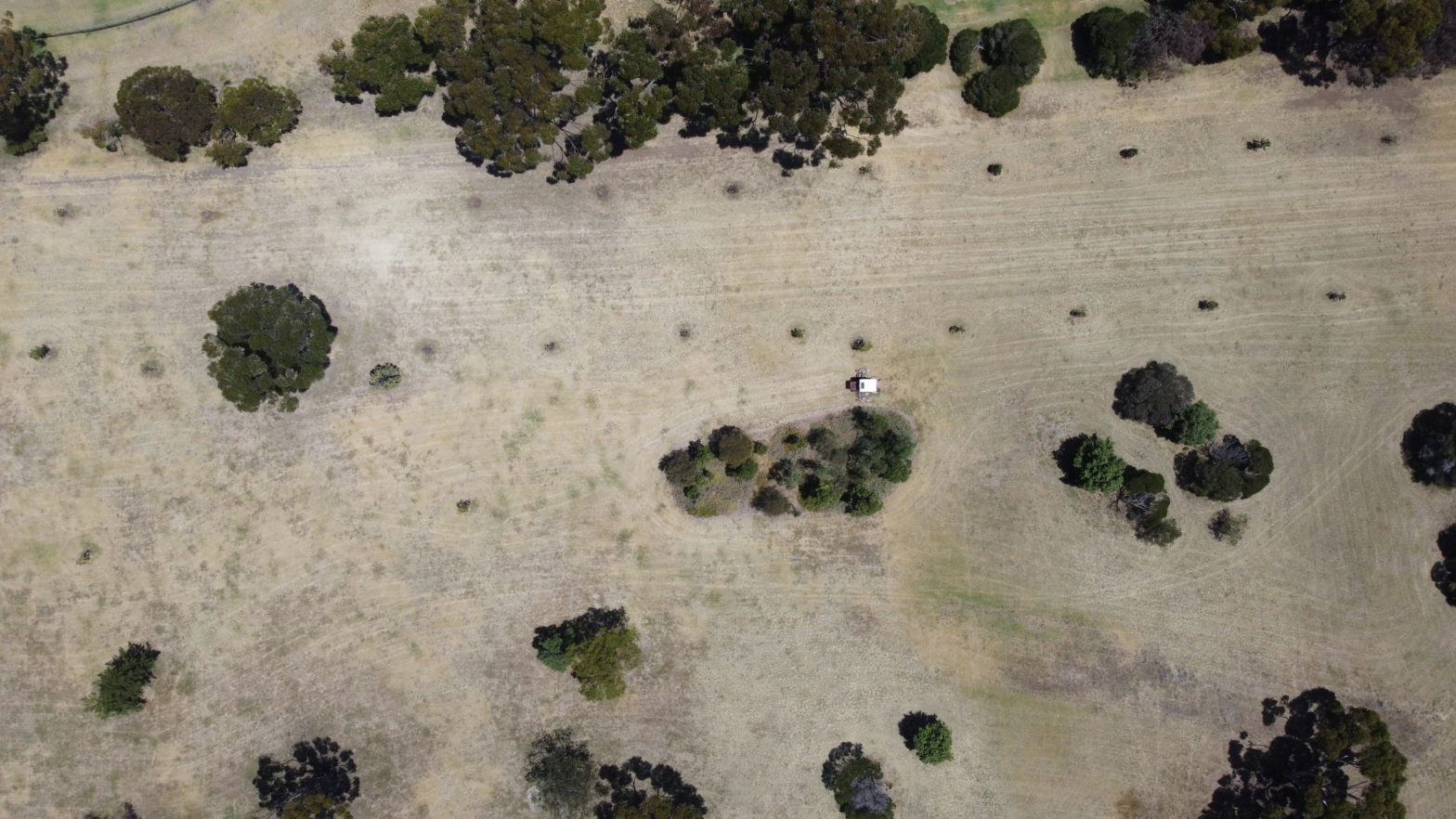 Paul Silva - Paul Silvaz